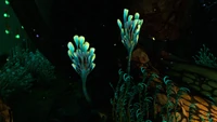 Paddle Fern | Subnautica Wiki | Fandom