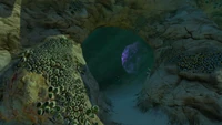 Safe Shallows Caves | Subnautica Wiki | Fandom