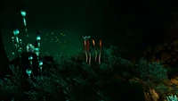 Lilypads Crevice | Subnautica Wiki | Fandom
