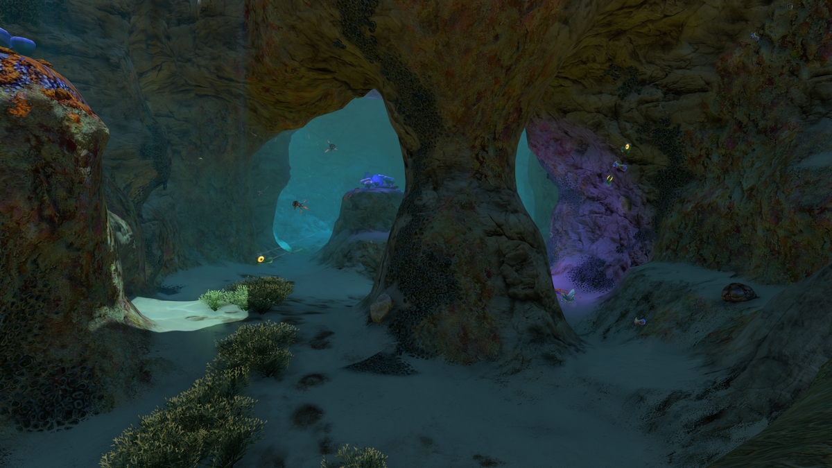Пещеры безопасных отмелей Subnautica вики Fandom