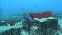 Sand Shark | Subnautica Wiki | Fandom