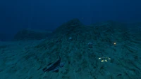 Crash Zone | Subnautica Wiki | Fandom
