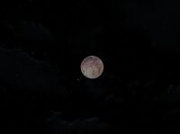 Planeta 4546B | Subnautica Wiki | Fandom