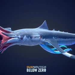 squid attacking shark