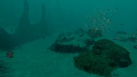 Sparse Reef | Subnautica Wiki | Fandom