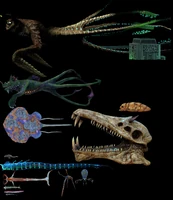 Leviathan Class Organisms | Subnautica Wiki | Fandom