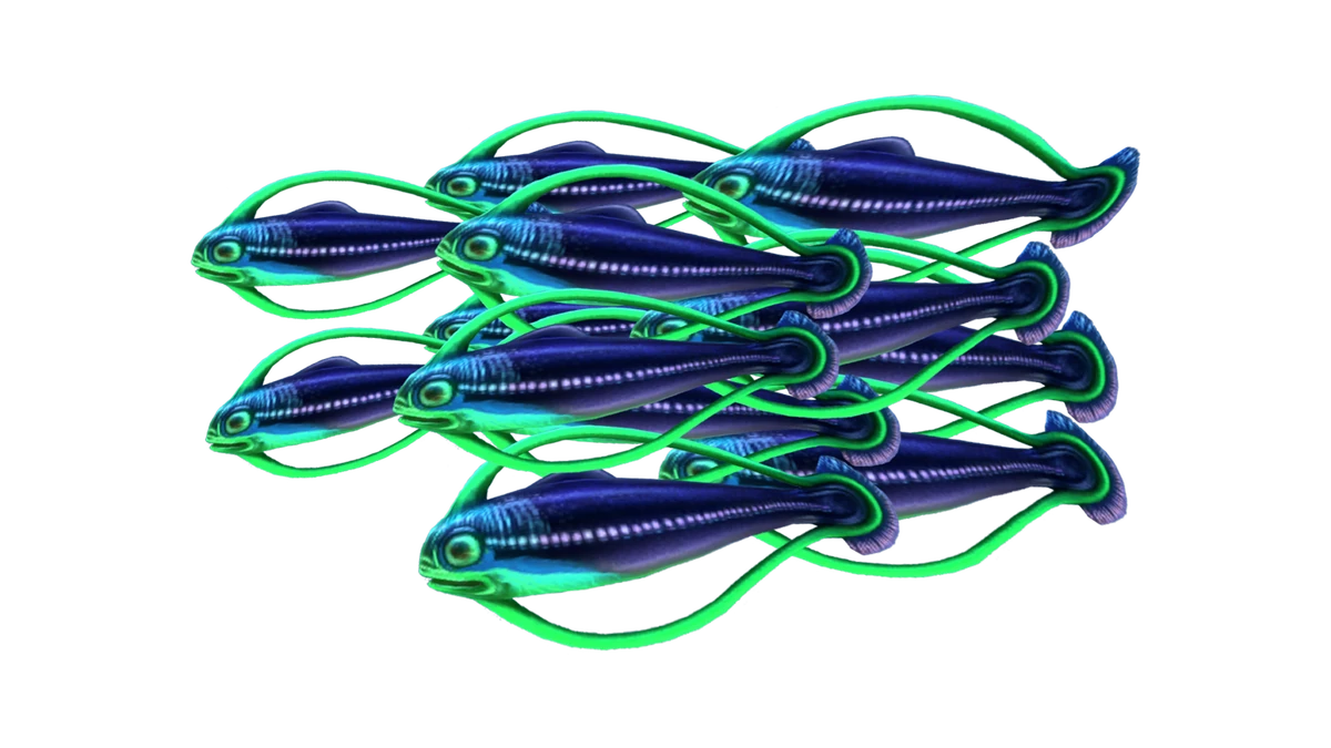 Shoal of Fish (Subnautica) | Subnautica Wiki | Fandom
