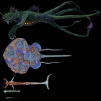 Leviathan Class Organisms | Subnautica Wiki | Fandom