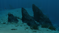 Crag Field | Subnautica Wiki | Fandom