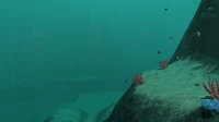 Sparse Reef | Subnautica Wiki | Fandom