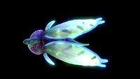 Mesmer | Wikia Subnautica | Fandom