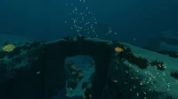 Sea Treader's Path | Subnautica Wiki | Fandom