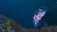 Sea Treader's Path | Subnautica Wiki | Fandom