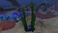 Bulb Zone | Subnautica Wiki | Fandom