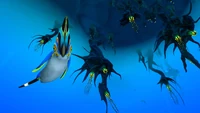 Pengwing | Subnautica Wiki | Fandom