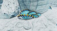Pouch Bulb | Subnautica Wiki | Fandom