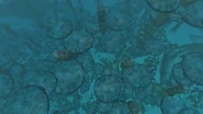 Mushroom Forest | Subnautica Wiki | Fandom