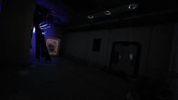 Sale Natural Selection 2