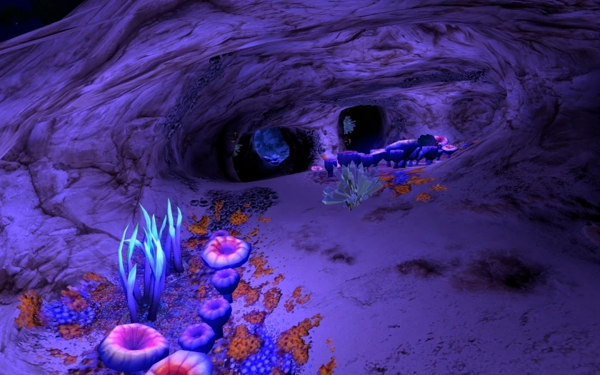 Safe Shallows Caves | Subnautica Wiki | Fandom