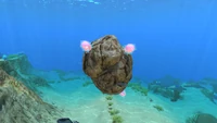 Floater | Subnautica Wiki | Fandom