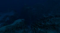 Crash Zone | Subnautica Wiki | Fandom