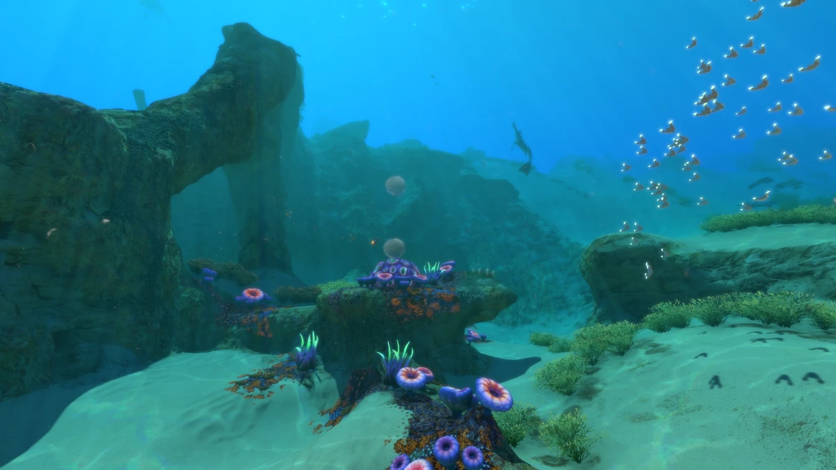Safe Shallows | Subnautica Wiki | Fandom