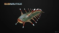 Ampeel | Subnautica Wiki | Fandom