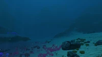 Bulb Zone | Subnautica Wiki | Fandom
