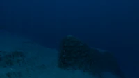 Crash Zone | Subnautica Wiki | Fandom