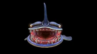 Sand Shark | Subnautica Wiki | Fandom