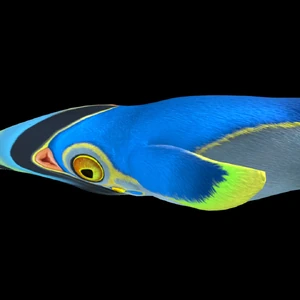 Discuss Everything About Subnautica Wiki | Fandom