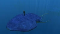Reefback Leviathan | Subnautica Wiki | Fandom