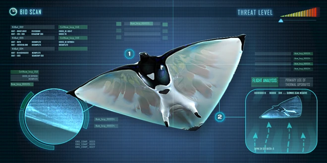 Skyray | Flight Rising