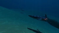Sand Shark | Subnautica Wiki | Fandom