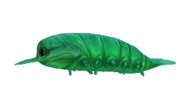 Steinlaus | Subnautica Wiki | Fandom