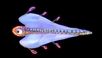Bladderfish (Below Zero) | Subnautica Wiki | Fandom