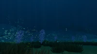 Sea Treader's Path | Subnautica Wiki | Fandom
