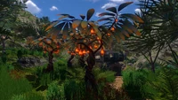Lantern Fruit (Subnautica) | Subnautica Wiki | Fandom