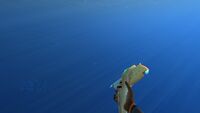 Arrow Ray | Subnautica Wiki | Fandom