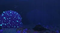 Bulb Zone | Wikia Subnautica | Fandom