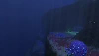 Bulb Zone | Subnautica Wiki | Fandom