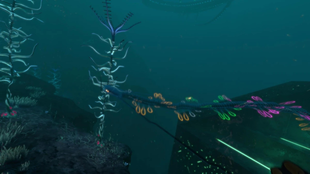 Пирамбасис | Subnautica моды Вики | Fandom