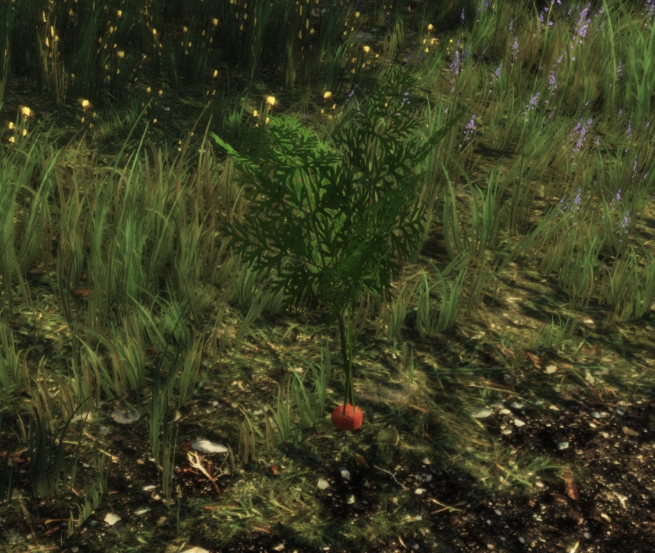 Carrots | Subsistence Wiki | Fandom