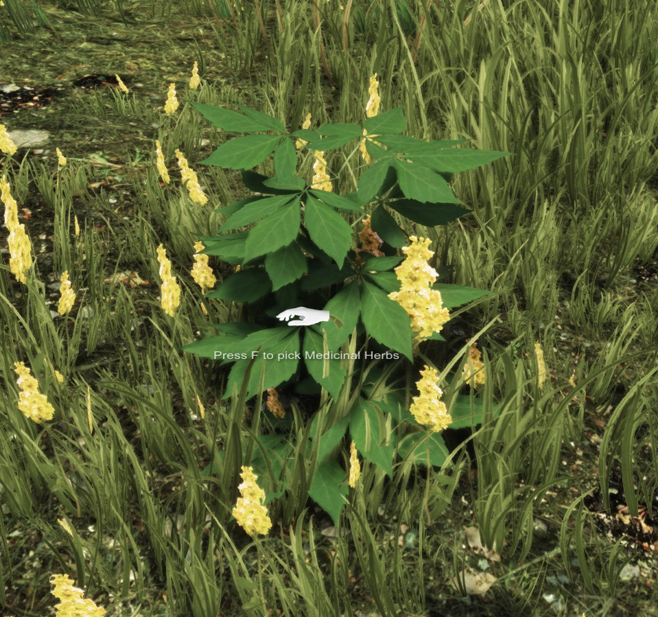 Medicinal Herbs | Subsistence Wiki | Fandom
