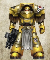 Lamenters | Successor Chapters as Legions Wiki | Fandom