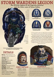 Storm Wardens | Successor Chapters as Legions Wiki | Fandom