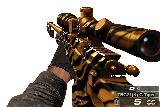 TRG-21 Infinity (K) | Sudden Attack Wiki | Fandom