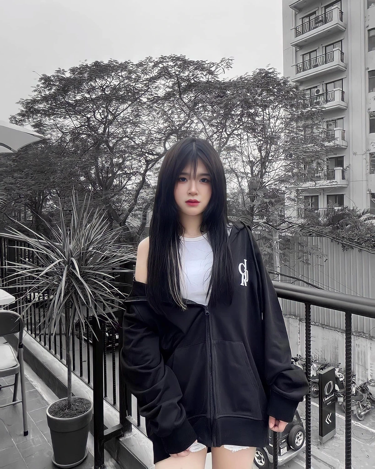 Nguyễn Hải Linh | Su Inc. | Fandom