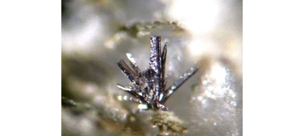 Violarite | Steven Universe Fanon Wikia | Fandom