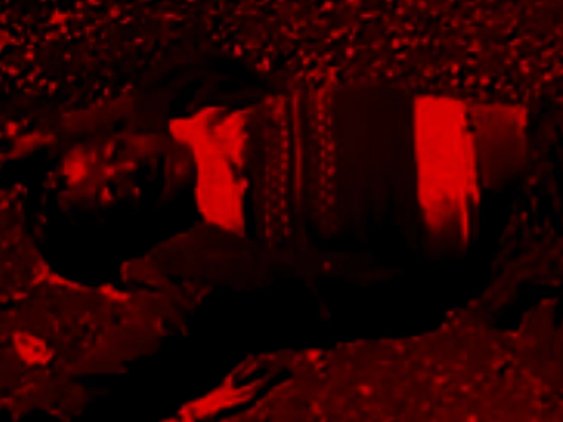 The Andrew Skinner Murder Tapes | Suicide Squidward (Fixed) Wiki | Fandom